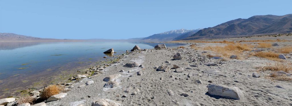 Walker Lake - All Around Nevada
